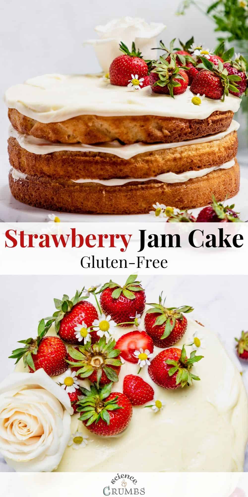 Gluten Free Strawberry Jam Cake - Science & Crumbs