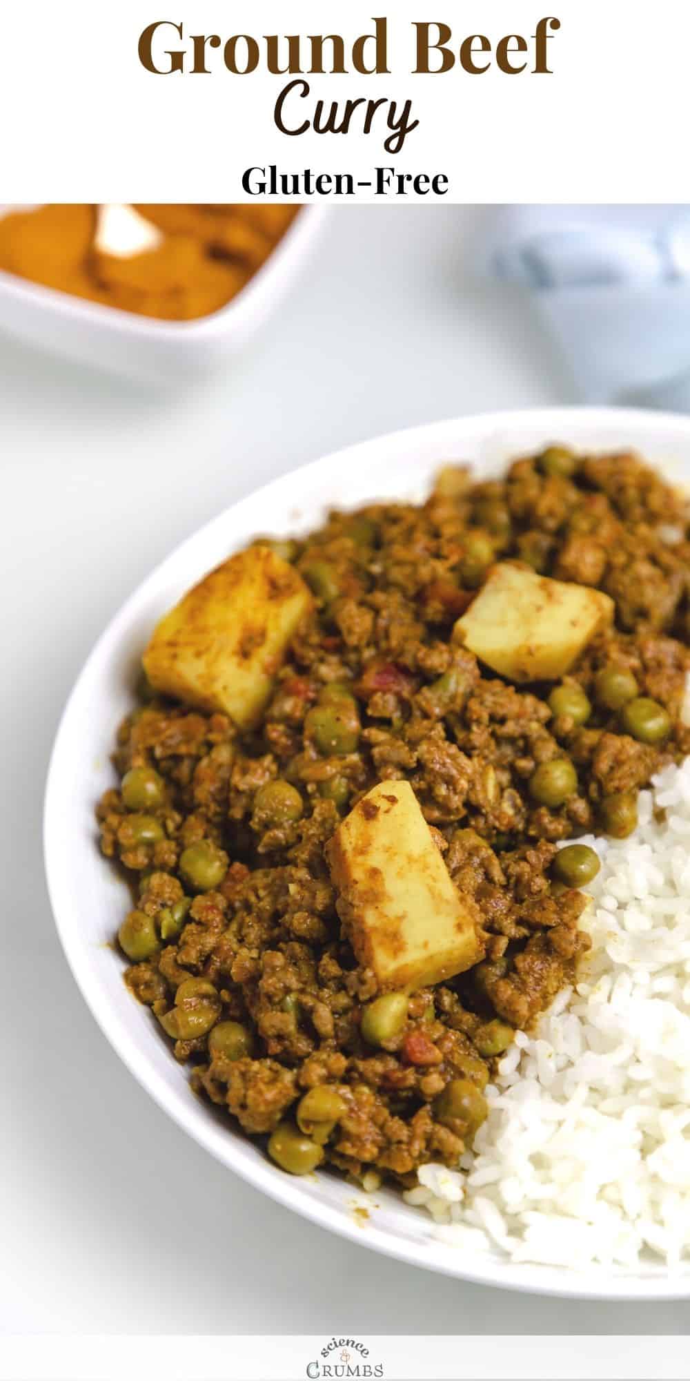 Ground Beef Curry (Keema Matar) - Science & Crumbs
