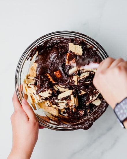 Lazy Cake (Chocolate Biscuit Cake) - Science & Crumbs